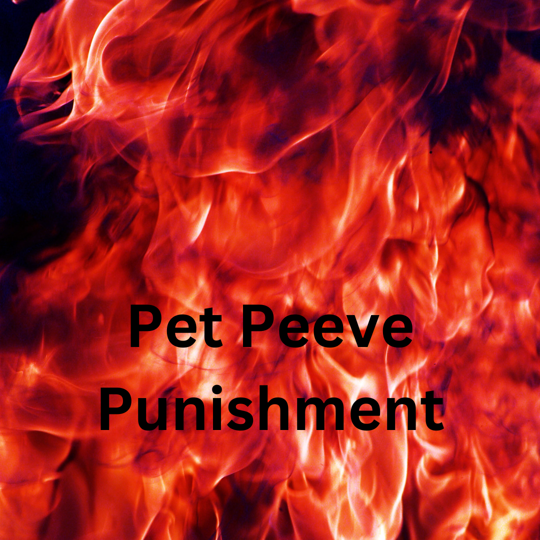 Pet Peeve Punishment – Sunday Dutro, Author – Official Site